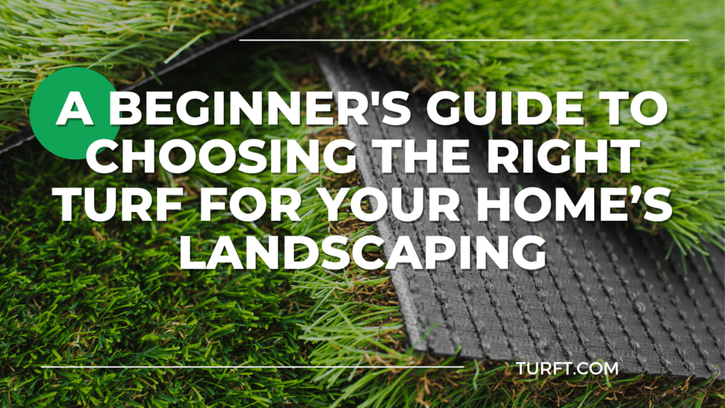 A Beginner's Guide to Choosing the Right Turf for Your Home’s Landscape ...